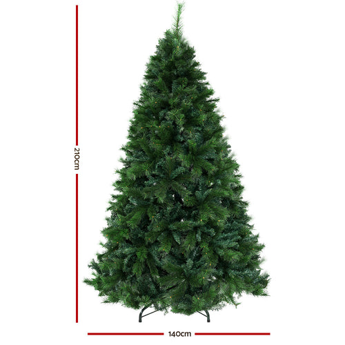Christmas Trees