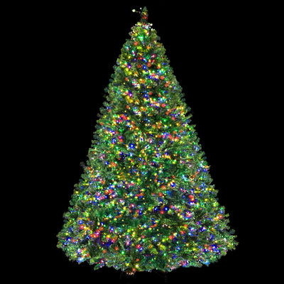 Christmas Trees